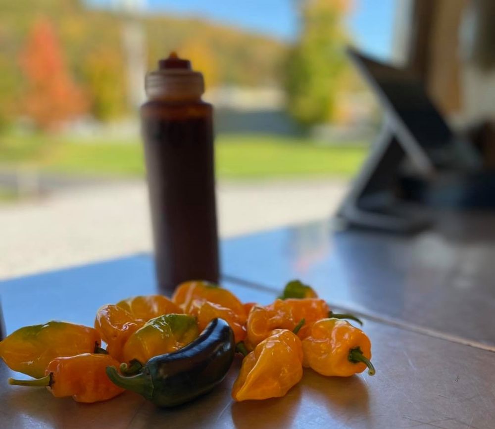 IT’S THE PITS - AMELIA - Updated April 2025 - 10 Photos - 9040 N 5 ...