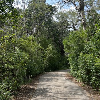 TREE TOPS PARK - Updated September 2025 - 822 Photos & 132 Reviews ...