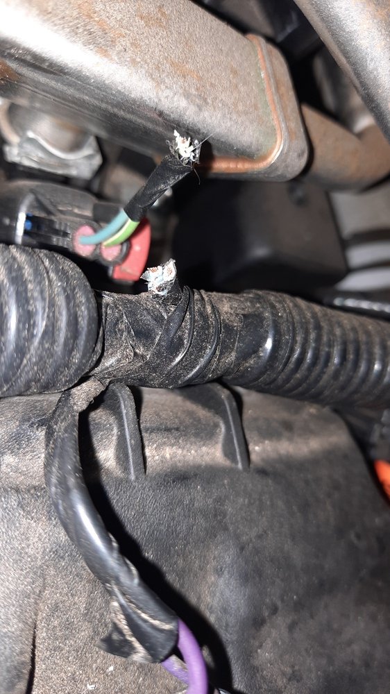 OURISMAN FORD & LINCOLN OF ALEXANDRIA - Updated October 2025 - 56 ...