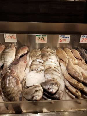 RAINBOW FISH MARKET - Updated May 2026 - 19 Photos & 15 Reviews - 91-02 ...