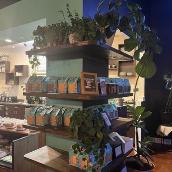 AXUM COFFEE - Updated December 2025 - 506 Photos & 425 Reviews - 146 W ...