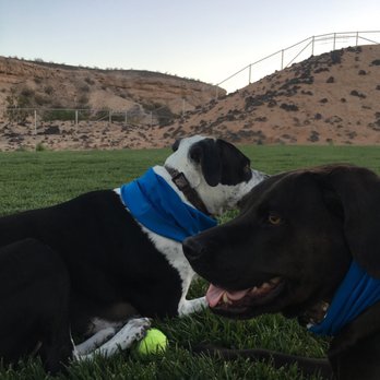 WHITNEY RANCH RECREATIONAL CENTER - Updated May 2025 - 161 Photos & 39 ...