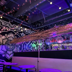 THE SKIP - 330 Photos & 189 Reviews - Beer Bar - 1234 Library St ...