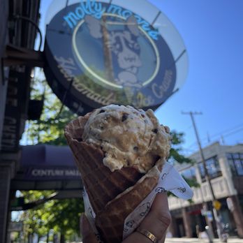 MOLLY MOON’S HOMEMADE ICE CREAM - Updated September 2024 - 2287 Photos ...