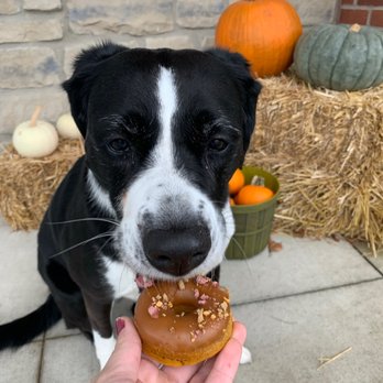 THE CHEESECAKE GIRL - Updated December 2025 - 21 Photos & 13 Reviews ...