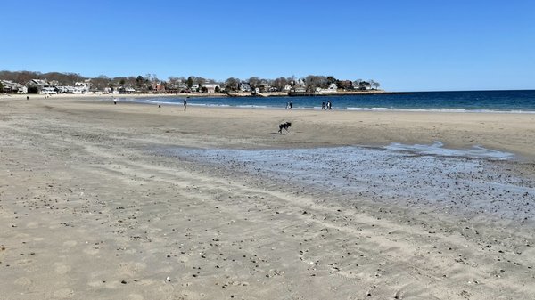 MAGNOLIA BEACH - Updated October 2025 - 23 Raymond St, Manchester ...