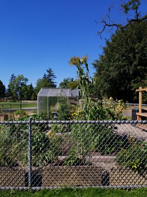 RILEY PARK - Updated December 2024 - 50 E 30th Avenue, Vancouver ...