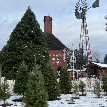 RED BARN TREE FARM - Updated October 2025 - 14 Reviews - 11617 WA-162 ...