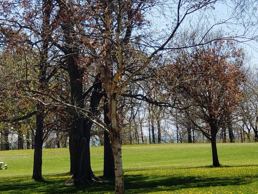 DOCTORS PARK - Updated May 2025 - 58 Photos & 16 Reviews - 1870 E Fox ...