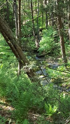 MOUNT TOBY STATE PARK - Updated October 2024 - 1-109 Reservation Rd ...