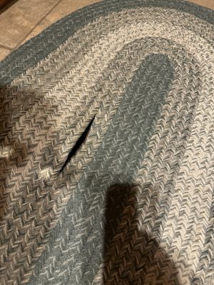 STROUD BRAIDED RUGS - Updated December 2025 - 16 Photos & 24 Reviews ...