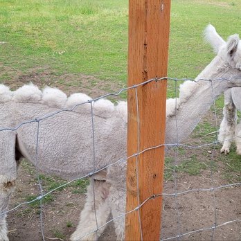 INFINITY FARM - Updated September 2025 - 24 Photos - 16523 Issaquah ...