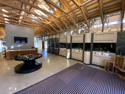 GWINNETT ENVIRONMENTAL & HERITAGE CENTER - 100 Photos & 15 Reviews ...