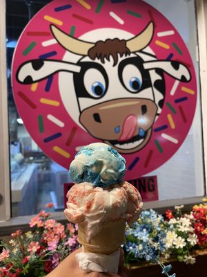 HOLY COW ICE CREAM CAFE - Updated July 2025 - 15 Photos & 24 Reviews ...