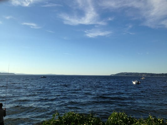 THREE TREE POINT BEACH - 13 Photos - 3725 SW 170th St, Burien, WA - Yelp