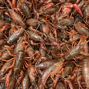 88 Ranch Market Oceanside, CA - Last Updated May 2025 - Yelp