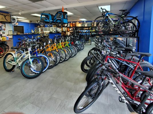 PALM COAST BICYCLE TRAIL SHOP - Updated May 2026 - 25 Photos & 17 ...