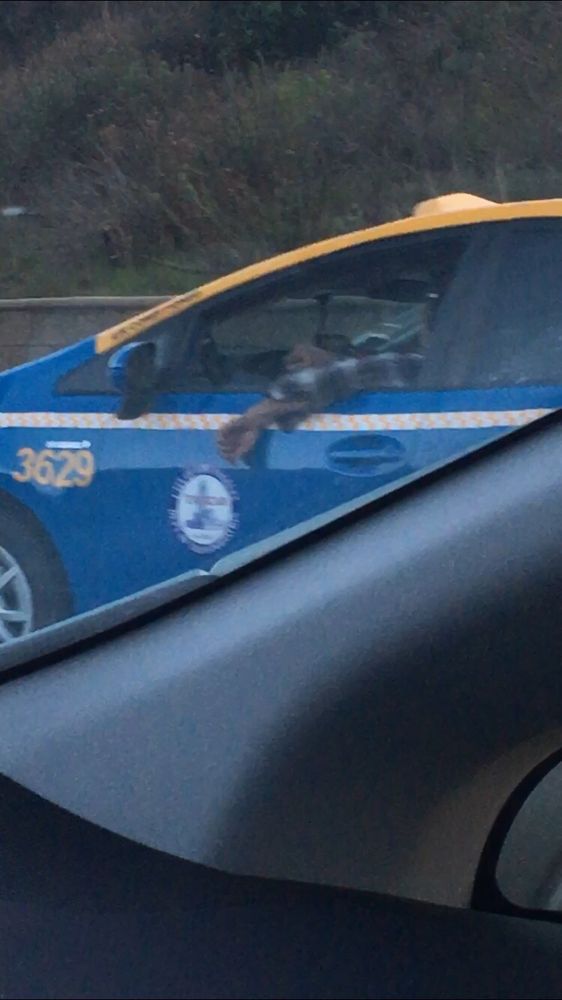 CHECKER CAB COMPANY - Updated April 2025 - Los Angeles, California ...