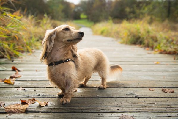 CLARK LAKE PARK - Updated January 2026 - 87 Photos & 34 Reviews - 12655 ...