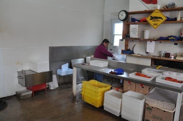 RYER’S LOBSTERS - Updated October 2025 - 57 Photos & 35 Reviews - 8494 ...