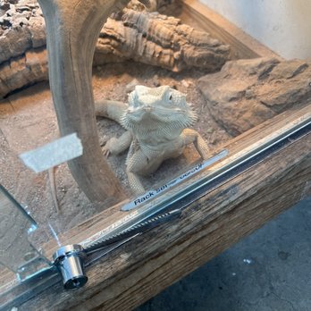 EAST BAY VIVARIUM - Updated April 2025 - 648 Photos & 604 Reviews ...