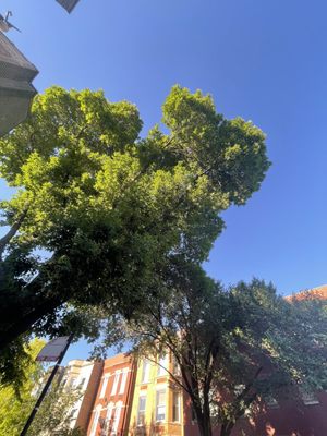 TURTLES BAR AND GRILL - Updated December 2025 - 78 Photos & 115 Reviews ...