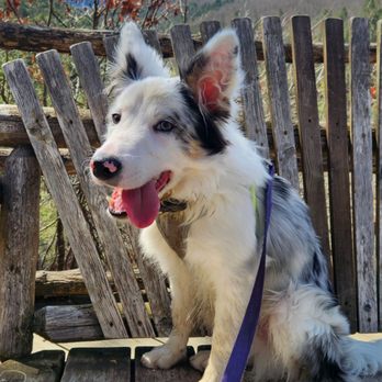 BUSHKILL FALLS - Updated October 2024 - 1396 Photos & 339 Reviews - 138 ...