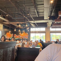 OUTBACK STEAKHOUSE - Updated October 2025 - 62 Photos & 76 Reviews ...