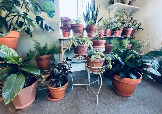 THE NATIVE GARDEN - Updated December 2025 - 26 Photos & 10 Reviews ...