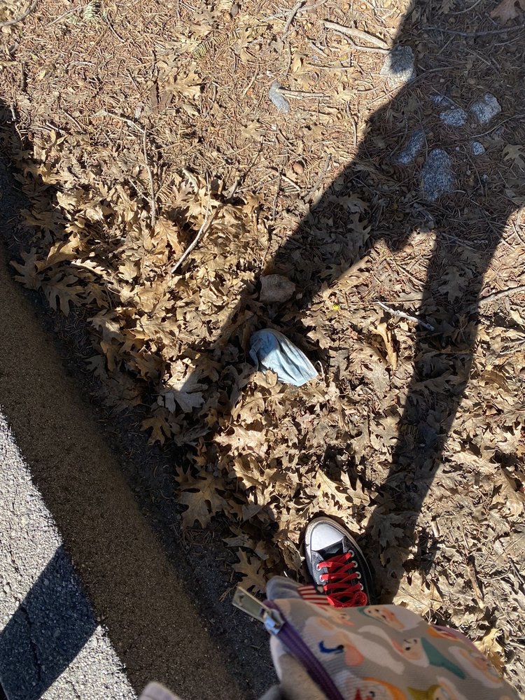 PALI INSTITUTE - 155 Photos & 123 Reviews - 30778 CA-18, Running ...