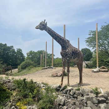 PITTSBURGH ZOO & AQUARIUM - Updated July 2024 - 1378 Photos & 346 ...