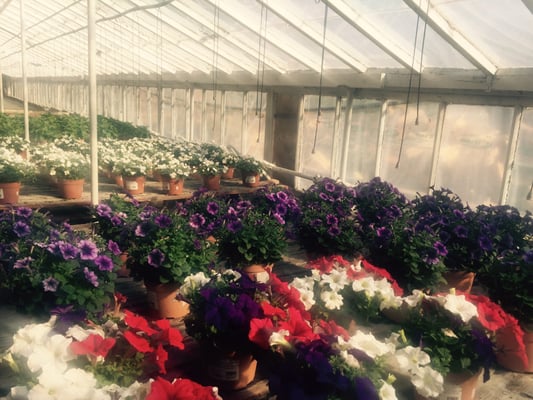 RUSSELL FARMS - Updated December 2025 - 21 Reviews - 479 Washington St ...