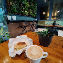 THE OPTIMIST - Updated July 2025 - 219 Photos & 134 Reviews - 1000 ...