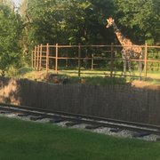 TULSA ZOO - Updated August 2025 - 529 Photos & 142 Reviews - 6421 E ...