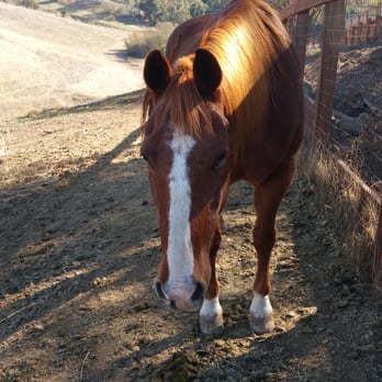 WESTWIND COMMUNITY BARN - Updated May 2024 - 43 Photos & 10 Reviews ...