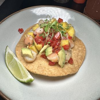 TREEHOUSE ROOFTOP - Updated 2024 - 87 Photos & 22 Reviews - 411 New ...