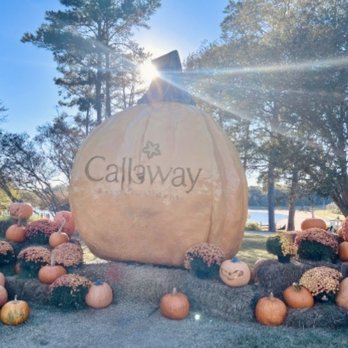 PUMPKINS AT CALLAWAY RESORT & GARDEN - Updated December 2024 - 17617 US ...