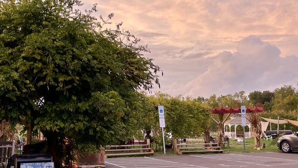 TABORA FARM AND ORCHARD - Updated October 2025 - 133 Photos & 155 ...