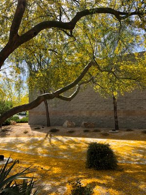 NORTH LAS VEGAS LIBRARY DISTRICT - ALIANTE LIBRARY - Updated August ...