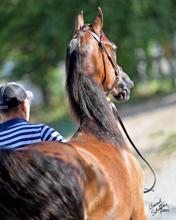 FIRE RUN FARM - Updated August 2025 - 19 Photos - 12005 188th St SE ...