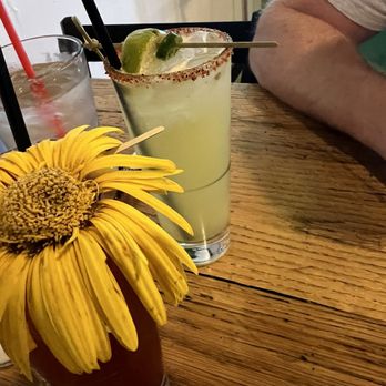 XOLO TACOS - Updated December 2024 - 107 Photos & 138 Reviews - 13216 N ...