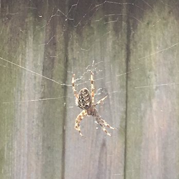 APTIVE PEST CONTROL - Updated January 2026 - 80 Photos & 51 Reviews ...