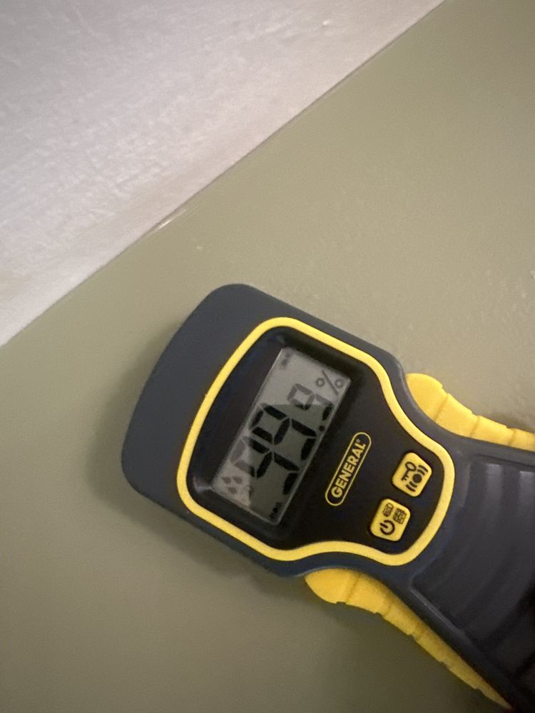 THE MOLD GUY - Updated July 2024 - Boca Raton, Florida - Environmental ...