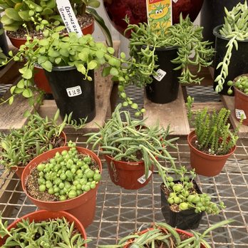 Photos of JACKSON FLORIST, INC. - Updated August 2024 - 20 Photos & 24 ...