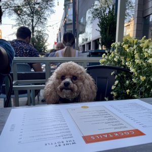 THE PERCH - 582 Photos & 352 Reviews - 1932 W Division, Chicago, IL ...