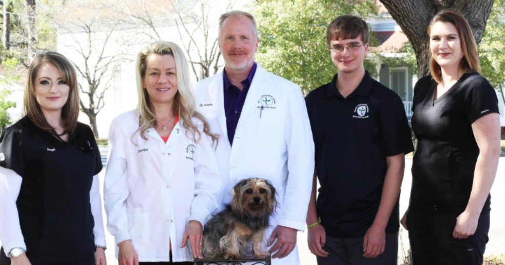 METTER CHIROPRACTIC CENTER - Updated December 2025 - 13 Photos - 60 N ...