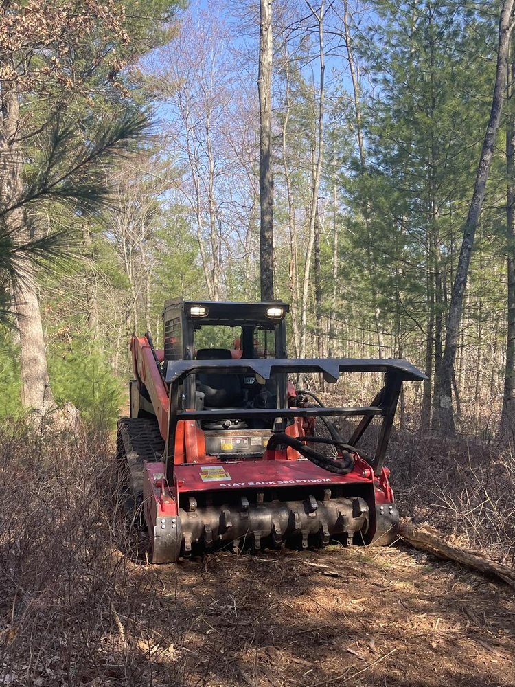 PRO CUT TREE SERVICE & LAND CLEARING - Updated June 2025 - 13 Photos ...