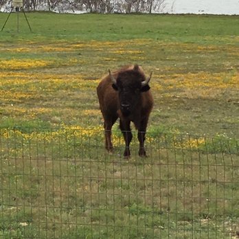 4 AMIGOS RANCH - Updated October 2025 - 73 Photos - 9061 State Loop 480 ...