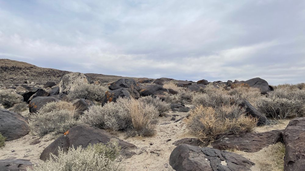 GRIMES POINT ARCHEOLOGICAL SITE - Updated March 2025 - 102 Photos & 14 ...