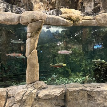 BASS PRO SHOP - Updated December 2025 - 61 Photos & 45 Reviews - 3046 ...
